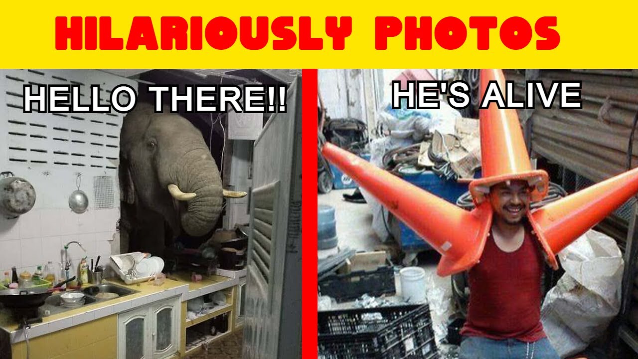 Hilariously Misleading Photos That Will Make You Look Twice - YouTube