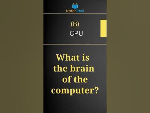 What is the brain of the computer? - YouTube