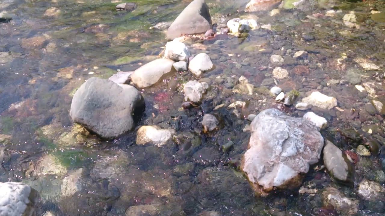 Sapat Prirode Reka Gradac Valjevo - The Whispers of Nature River Gradac ...