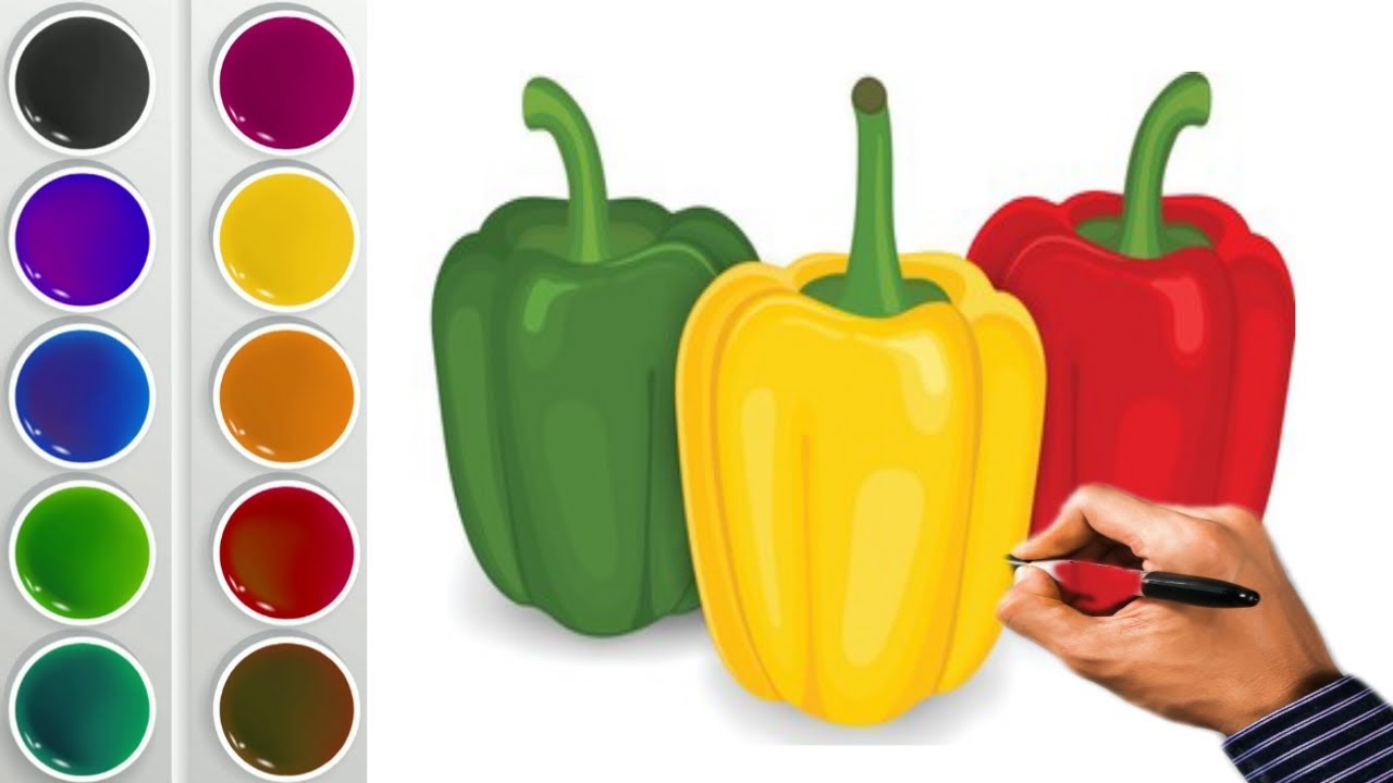 How to draw Capsicum | easy Capsicum drawing | vegetable drawing ...
