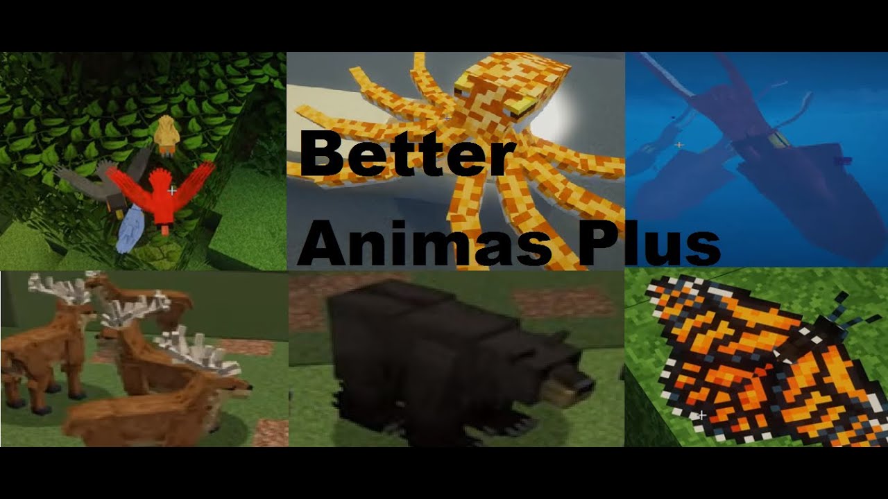 Showcase Mods Better Animals Pluss - YouTube