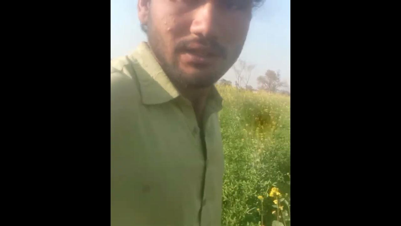 Dahati mahol shahid vlog - YouTube