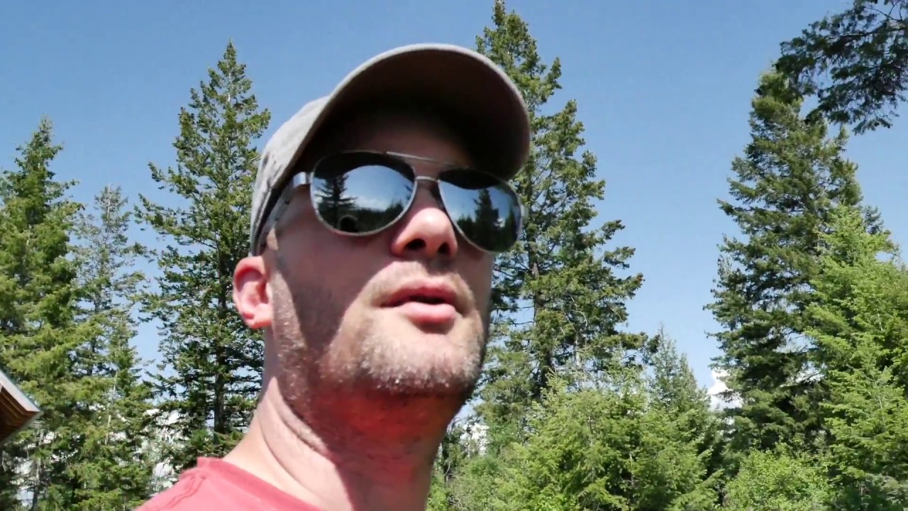 Off Grid Cabin Dangerous Tree Removal - YouTube