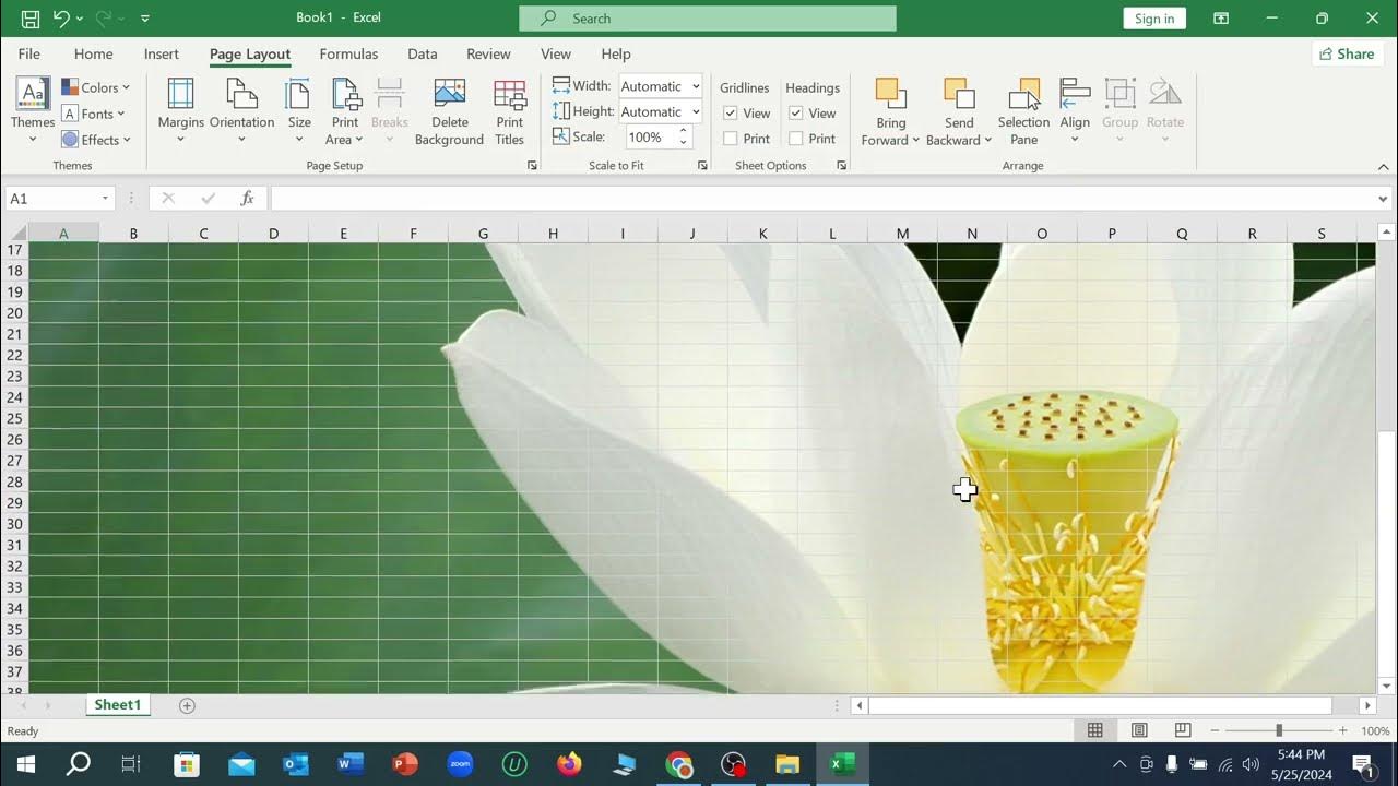 How to Insert Picture Behind Text in Excel | MS Excel - YouTube