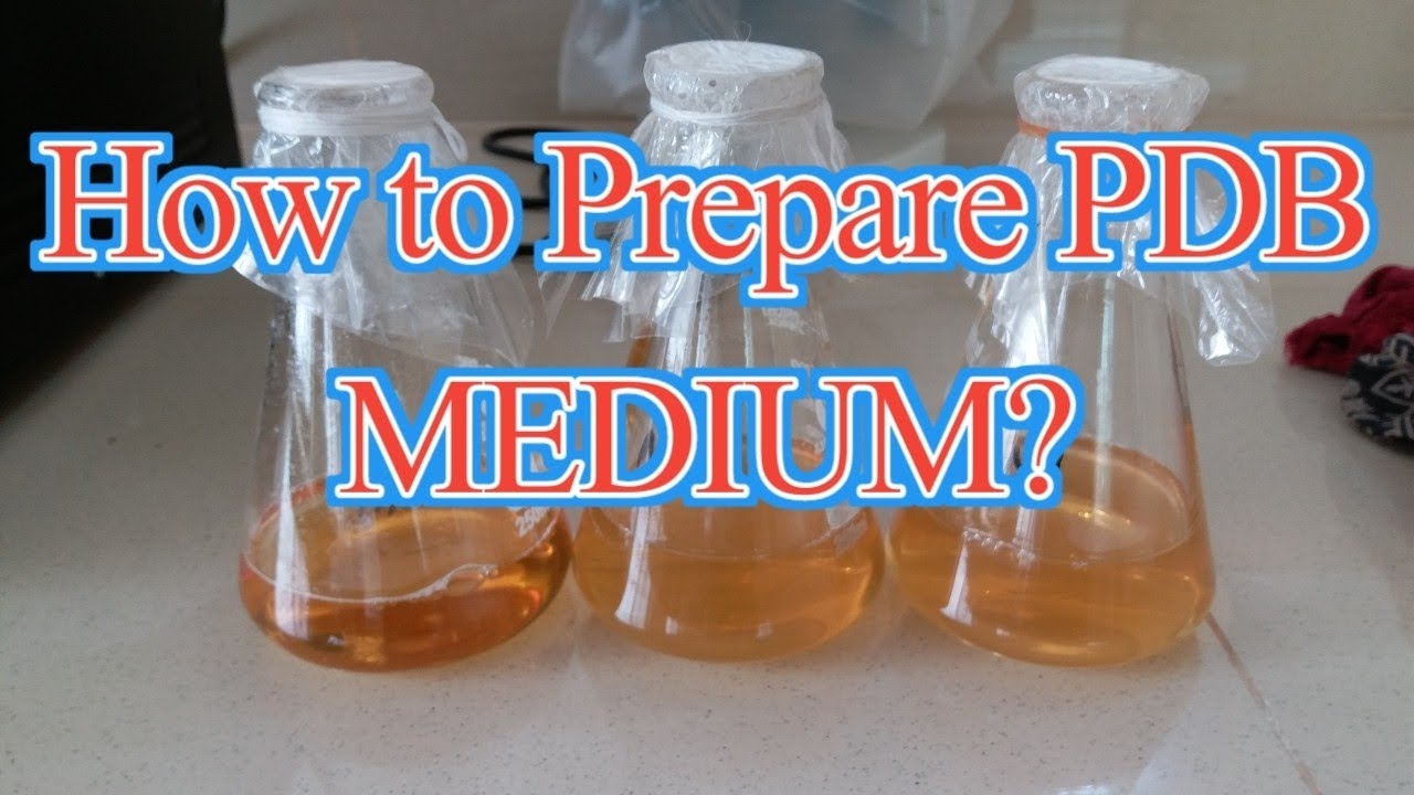 How To Prepare Potato Dextrose Broth Medium How To Prepare PDB Medium