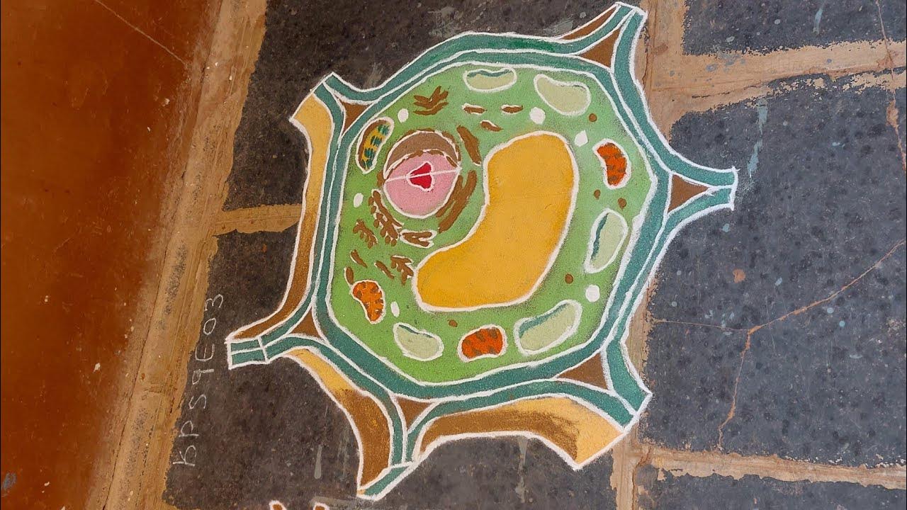SCIENCE RANGOLI COMPETITION. - YouTube