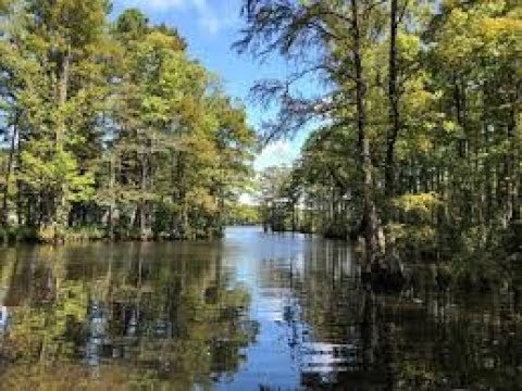 Got the win today on the chowan river!!! Full HD 1080p - YouTube