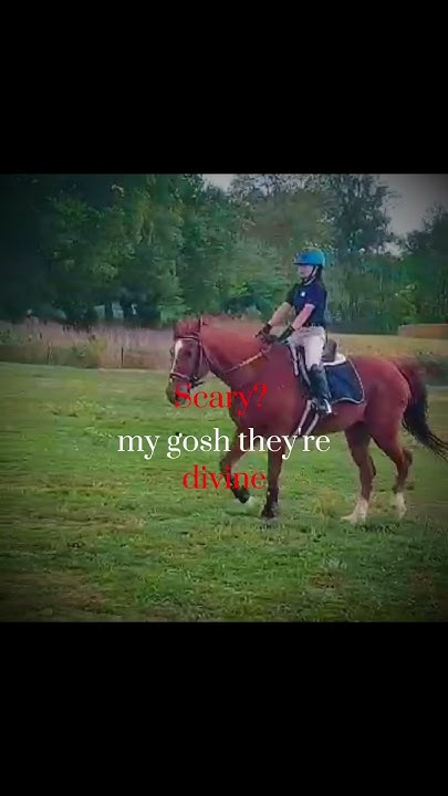 Why do you like horses.. there scary…. 🫣 #horse #equestrianvibes # ...