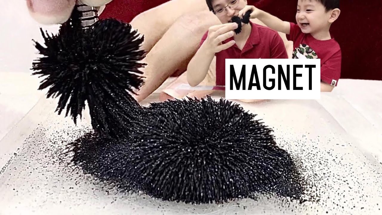 Eksperimen Sains Magnet Menari | Percobaan Pasir Magnet | Dancing magnet - YouTube