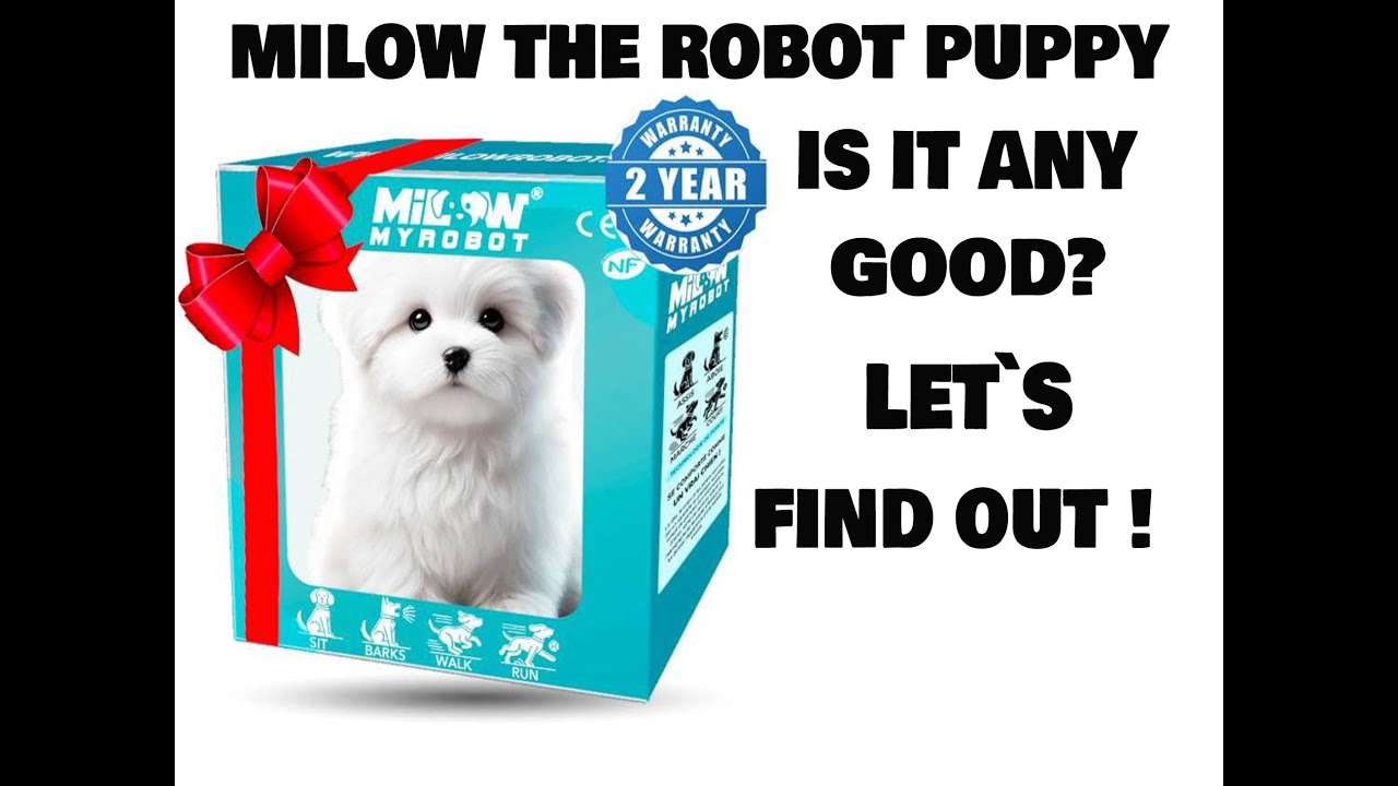 MILOW THE ROBOT PUPPY SCAM EVERYONE BEWARE - YouTube