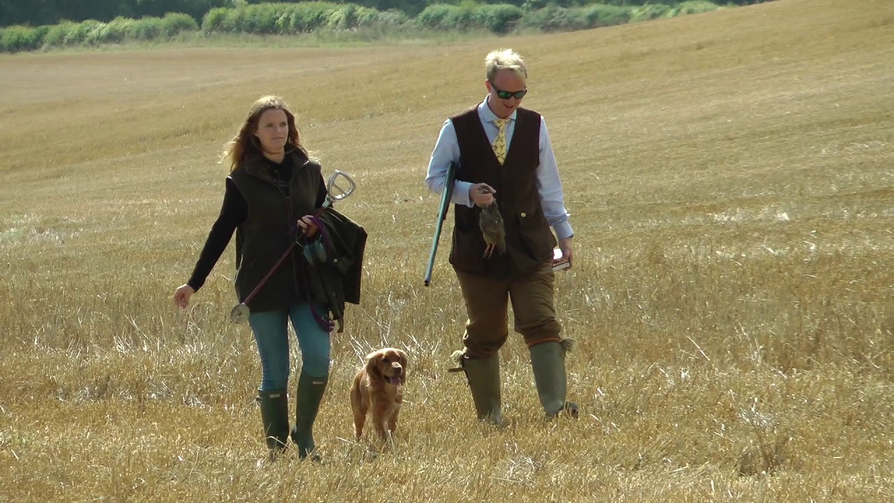 Driven Partridge Shooting ''so it begins'' - YouTube