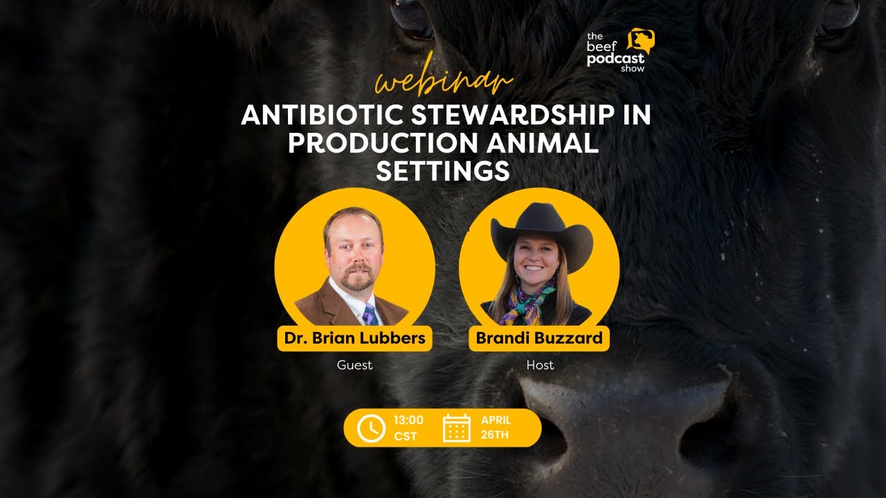 Webinar - Antibiotic Stewardship in Production Animal Settings - YouTube