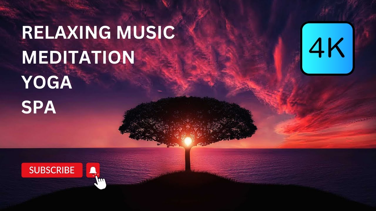 Relaxing Music 1 Hour : Meditation Music, Spa Music, Yoga Music ★16 ...