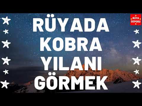 Rüyada Kobra Yılanı Görmek Ne Anlama Gelir - Rüya Tabiri - [Rüya Deposu]