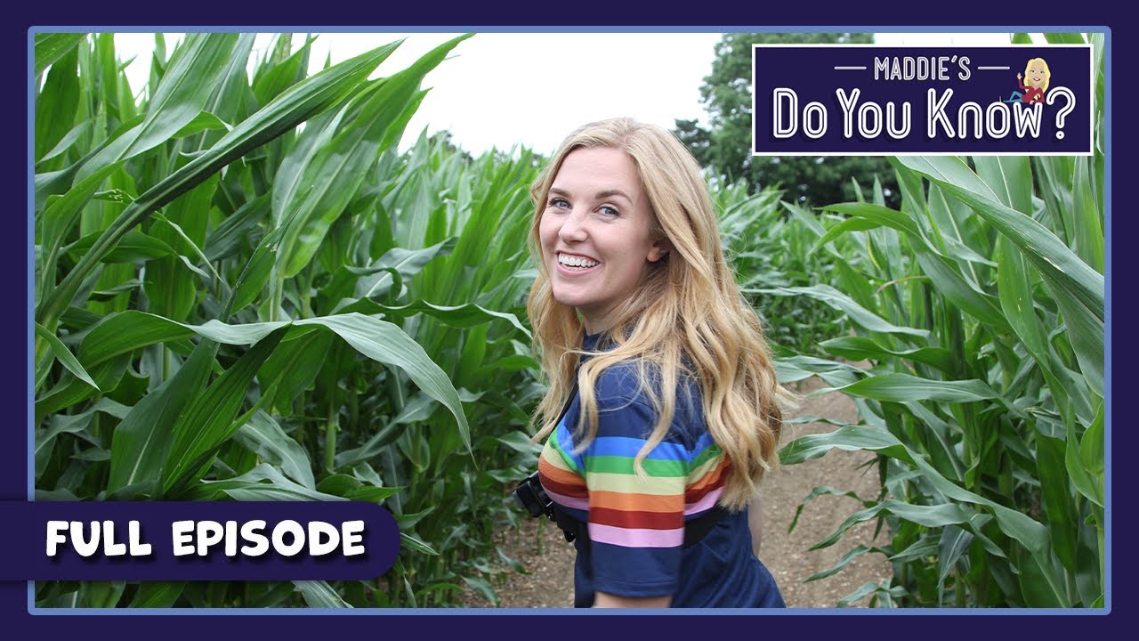 Radio Telescope and Maze | Maddie's Do You Know 🔎 Series 4, Episode 6 ...