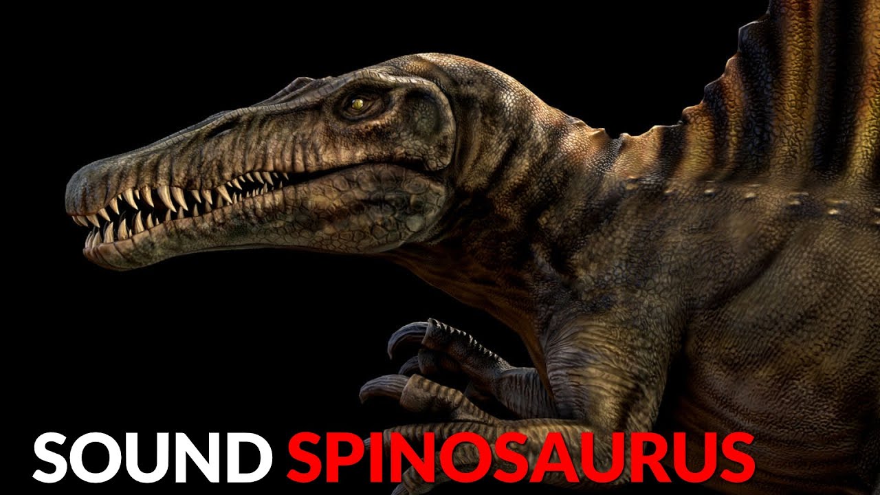 Spinosaurus Sound | Jurassic World Rebirth - YouTube