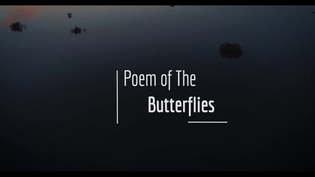 Milo Häfliger | Poem of The Butterflies [006] - YouTube
