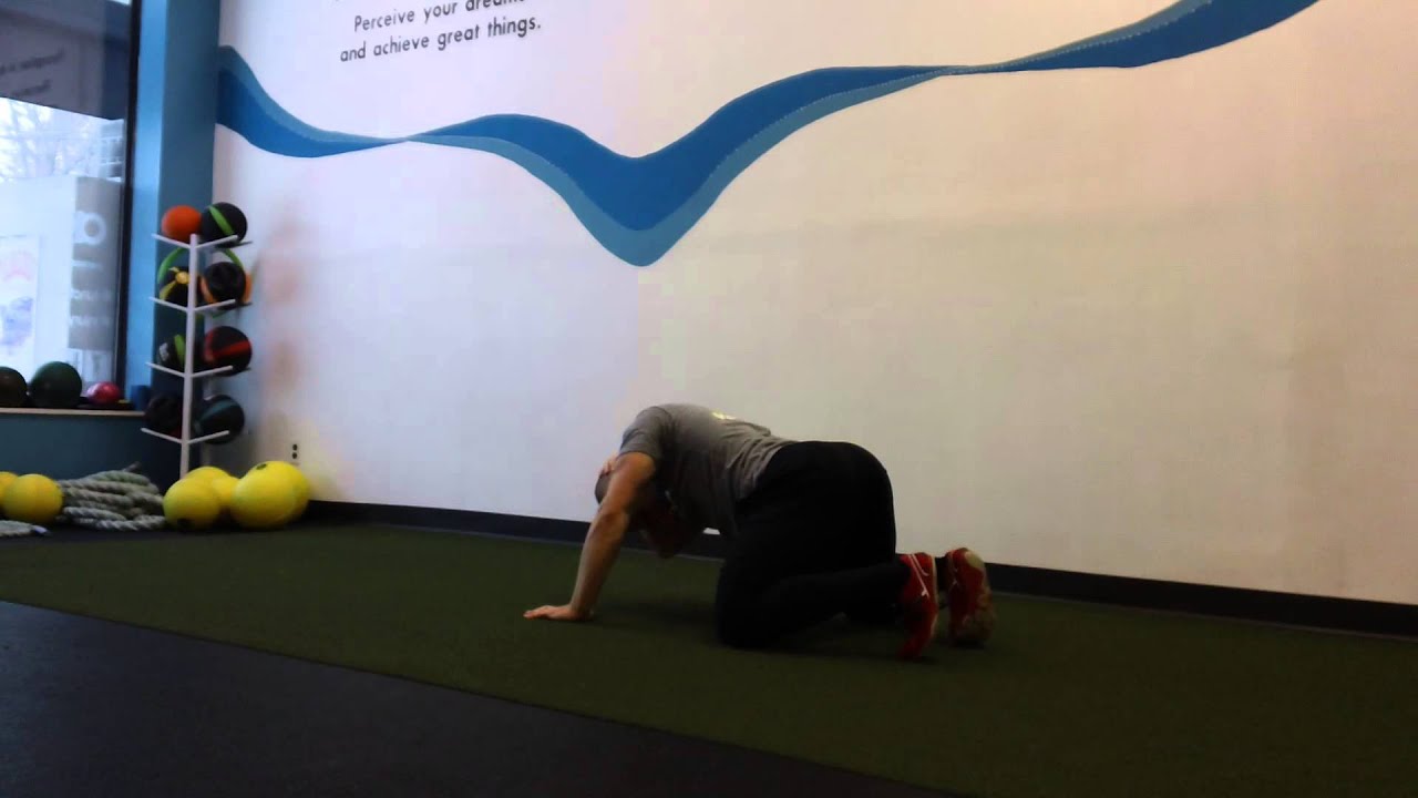 Quadruped Extension-Rotation - YouTube
