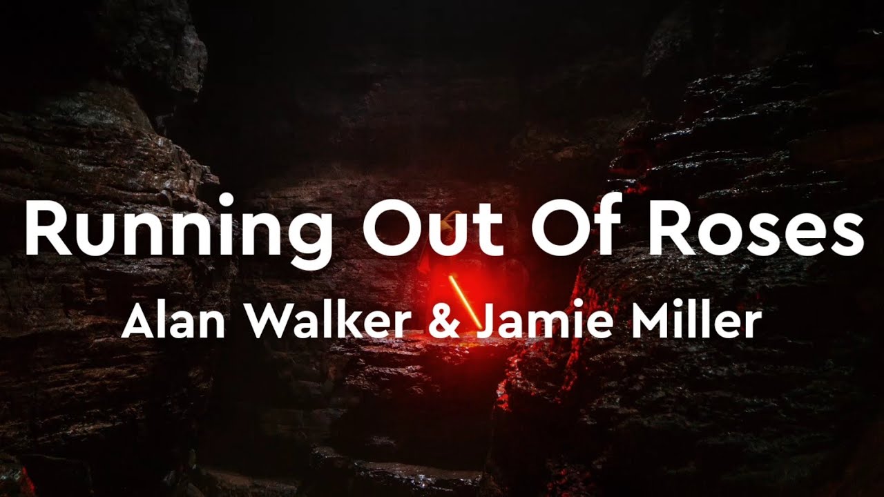 Alan Walker x Jamie Miller - Running Out of Roses (Lyrics) - YouTube