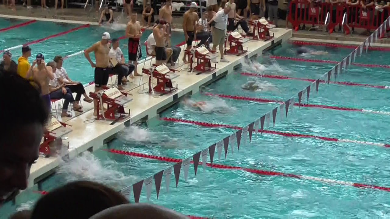2019 GCU Swimming & Diving WAC Prelim 200Bk Brigit, Robyn - YouTube