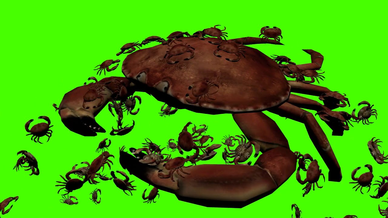 Crabb Greenscreen - YouTube