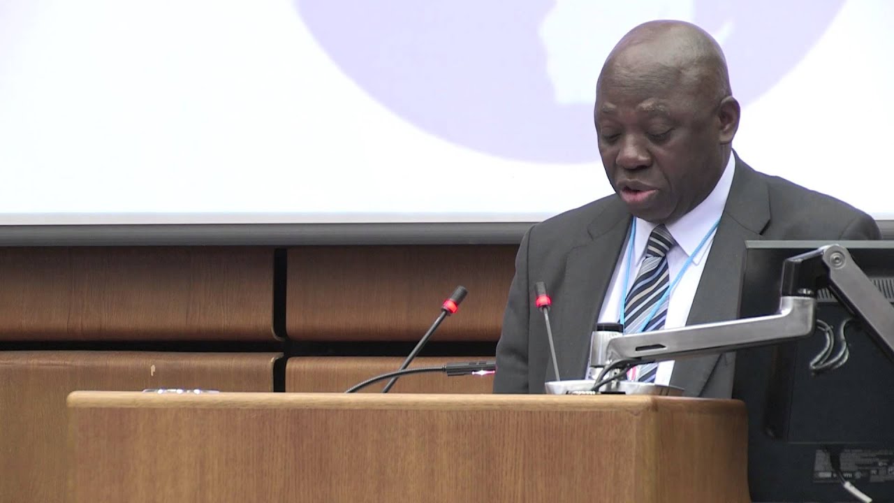 Second UNIDO ISID Forum Panel 2, Mr. Alhaji Muhamad Mumuni - YouTube