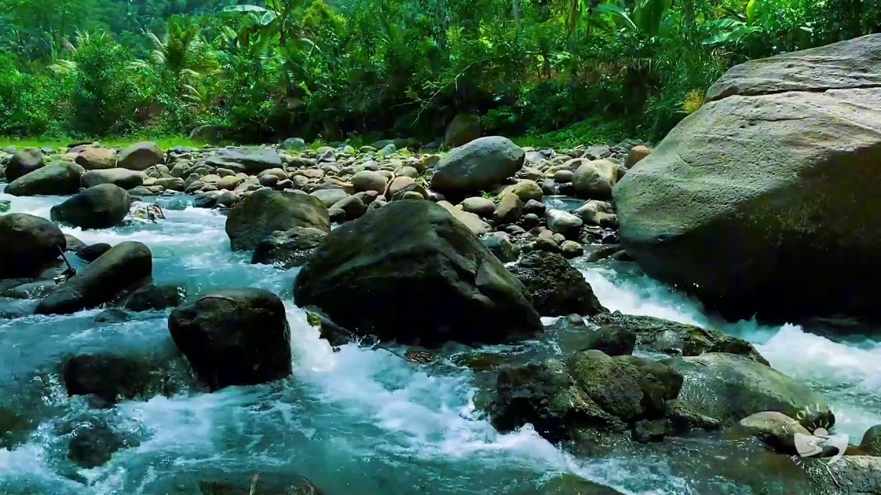 Sleep Faster with River Sound ASMR | Relaxing Water Stream for Deep ...