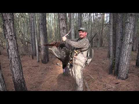 Turkey Hunting Calling App