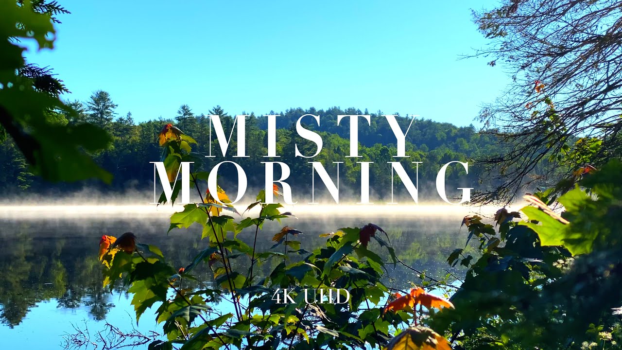 Misty Morning | Enjoy a peaceful lake with calming, immersive birdsong ...