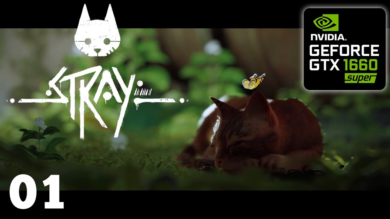 Stray Gameplay | GTX 1660 Super High Graphics | Inside The Wall - YouTube