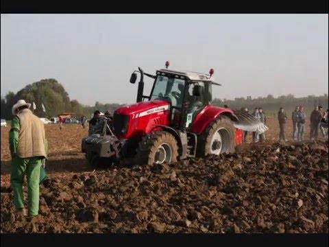 gara di aratura stagno lombardo 2011 - YouTube