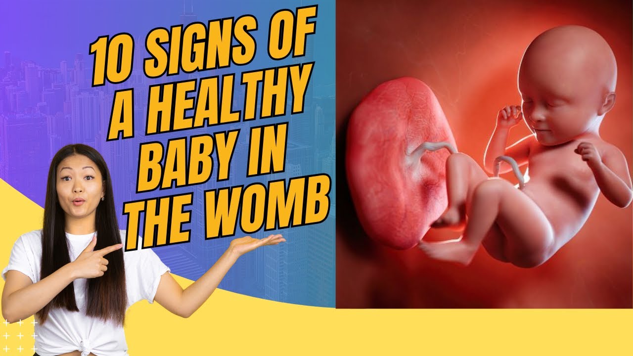 10 Signs of a Healthy Fetus | Signs of a Healthy Baby in the Womb ...