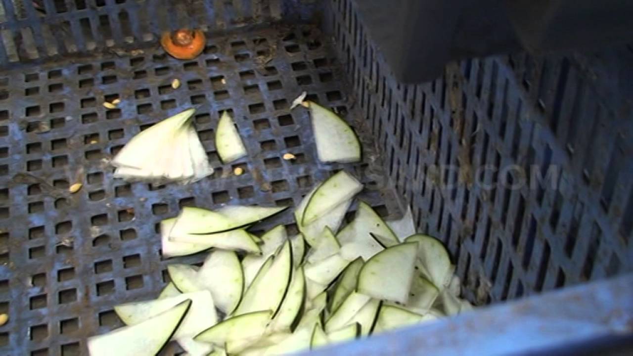 Belt Convey Commercial Vegetable Slicer Cutting Machine - YouTube