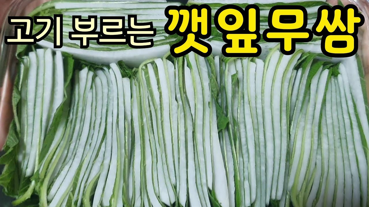 깻잎 무 있다면 고기 부르는 새콤달콤 깻잎무쌈 만드세요 깻잎쌈무 레시피 Youtube