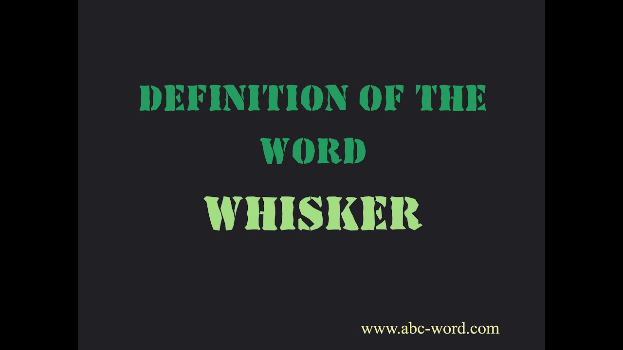 Definition of the word "Whisker" - YouTube