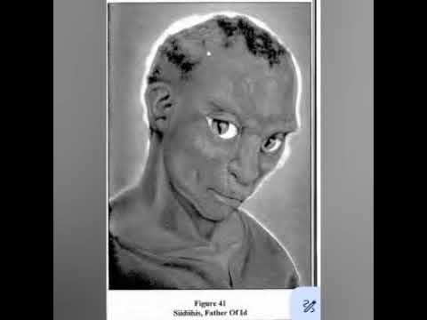 Inzuza spirit, a rare perspective. Part 2 - YouTube