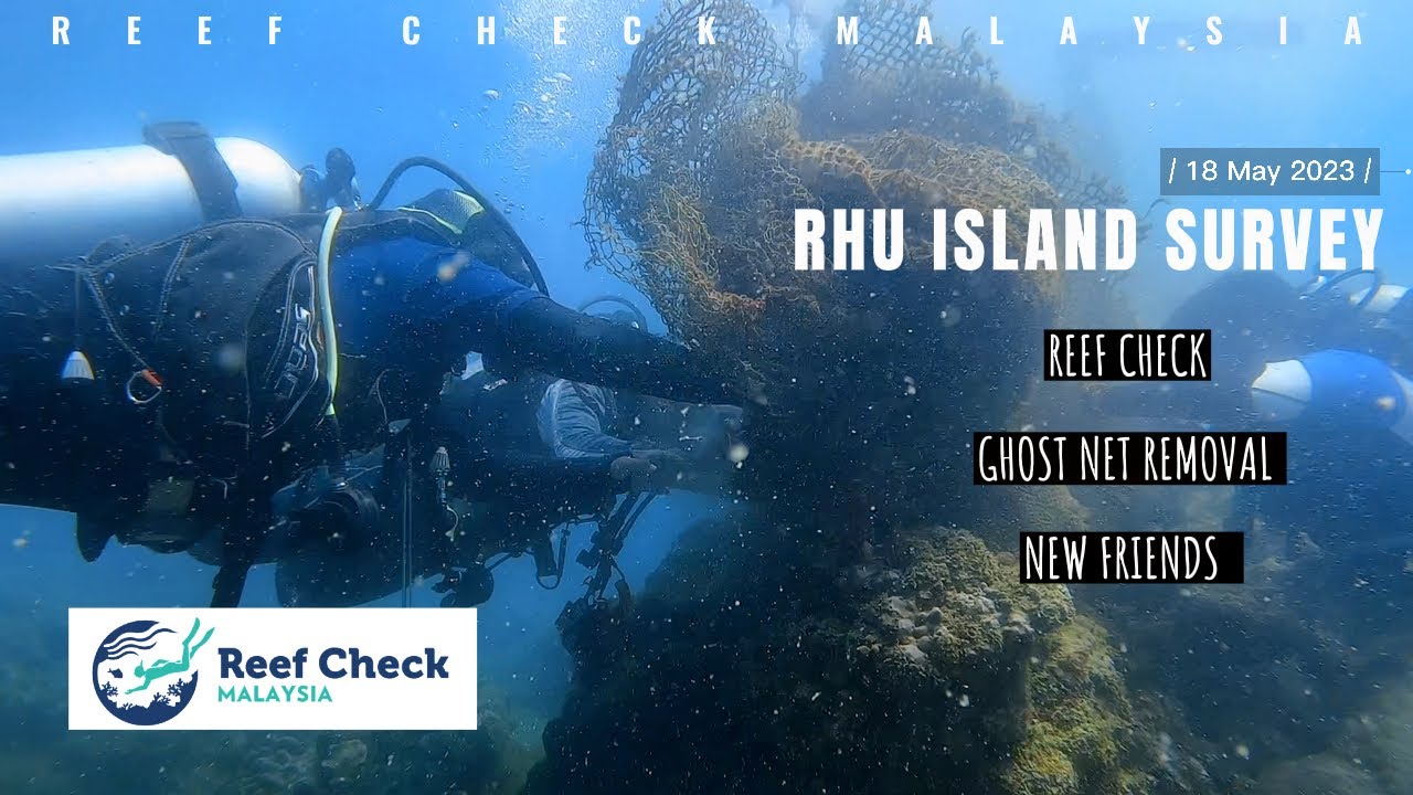 Reef Check Malaysia - Rhu Island Survey 2023 - YouTube