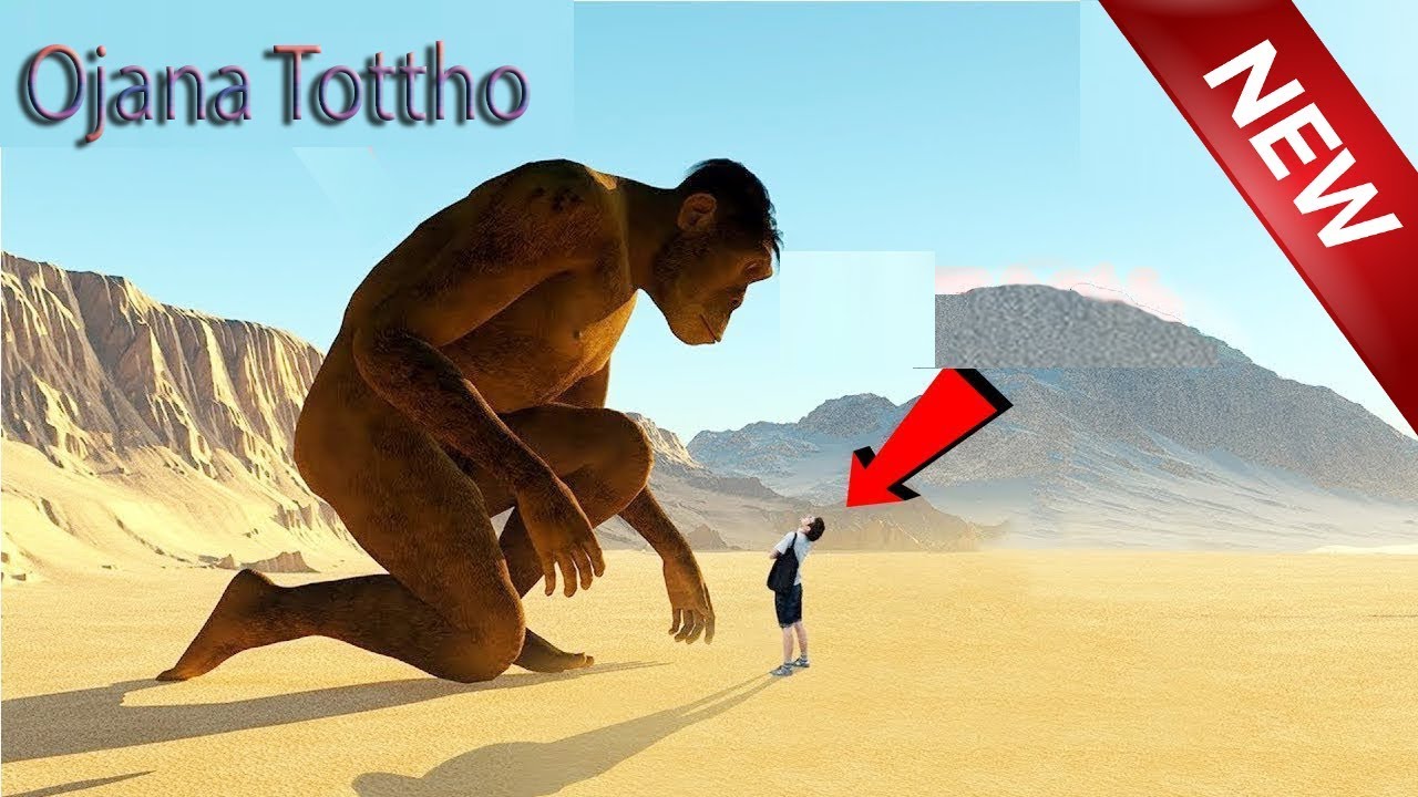 ৫০০০০০০ বছর আগে পৃথিবীতে কারা বসবাস করত Animal Who Lived 5000000 Years ...