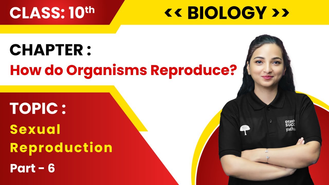Class 10th Biology -How Do Organisms Reproduce? |Part-6 Sexual ...