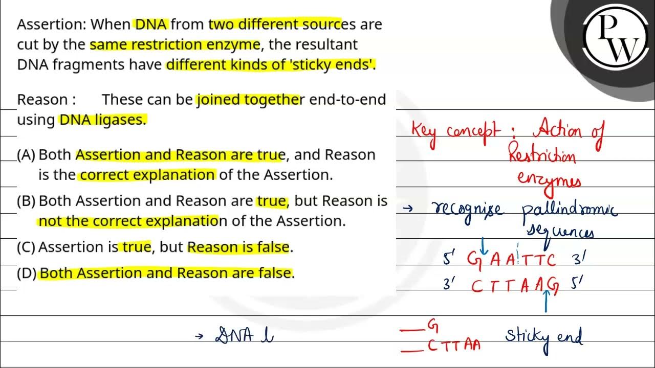 Assertion: When DNA from two different sources are cut by the same restriction enzyme, the resul ...