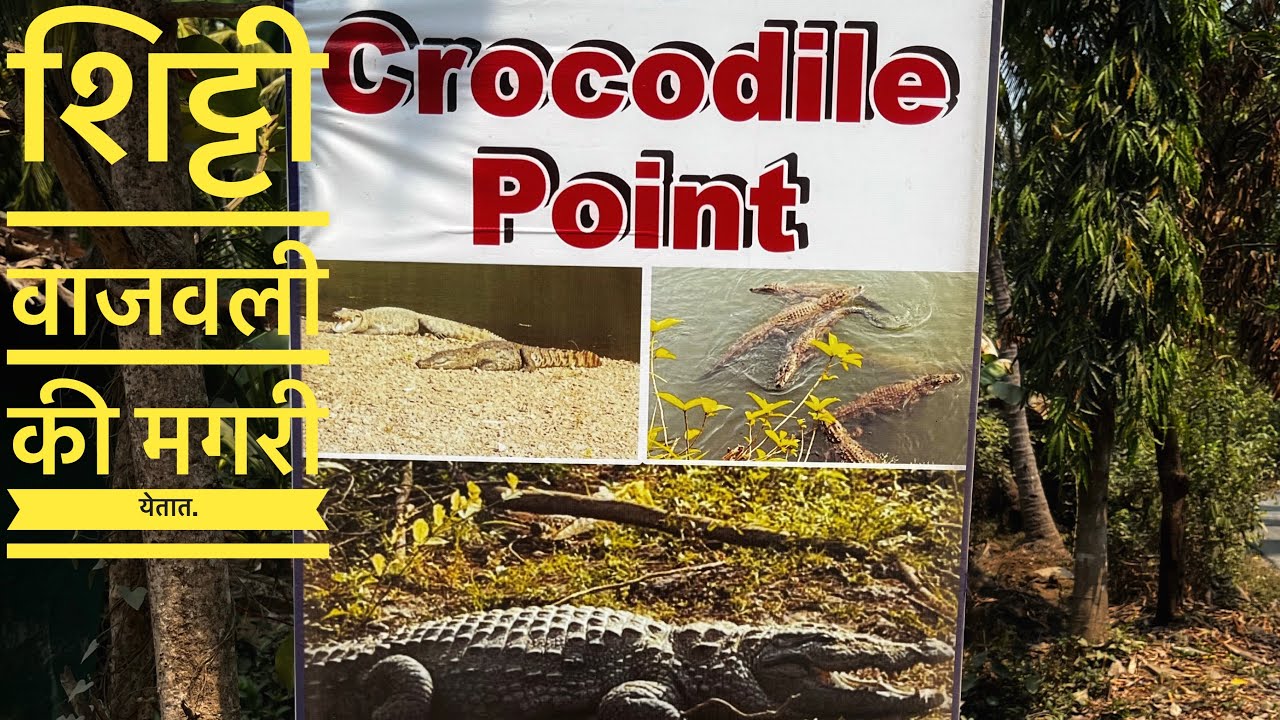 Crocodile Point | Kokan | Tourist attraction | Pagawadi, Insuli ...