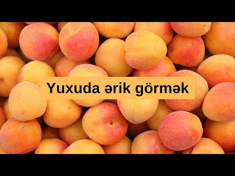 Yuxuda Ərik Görmək
