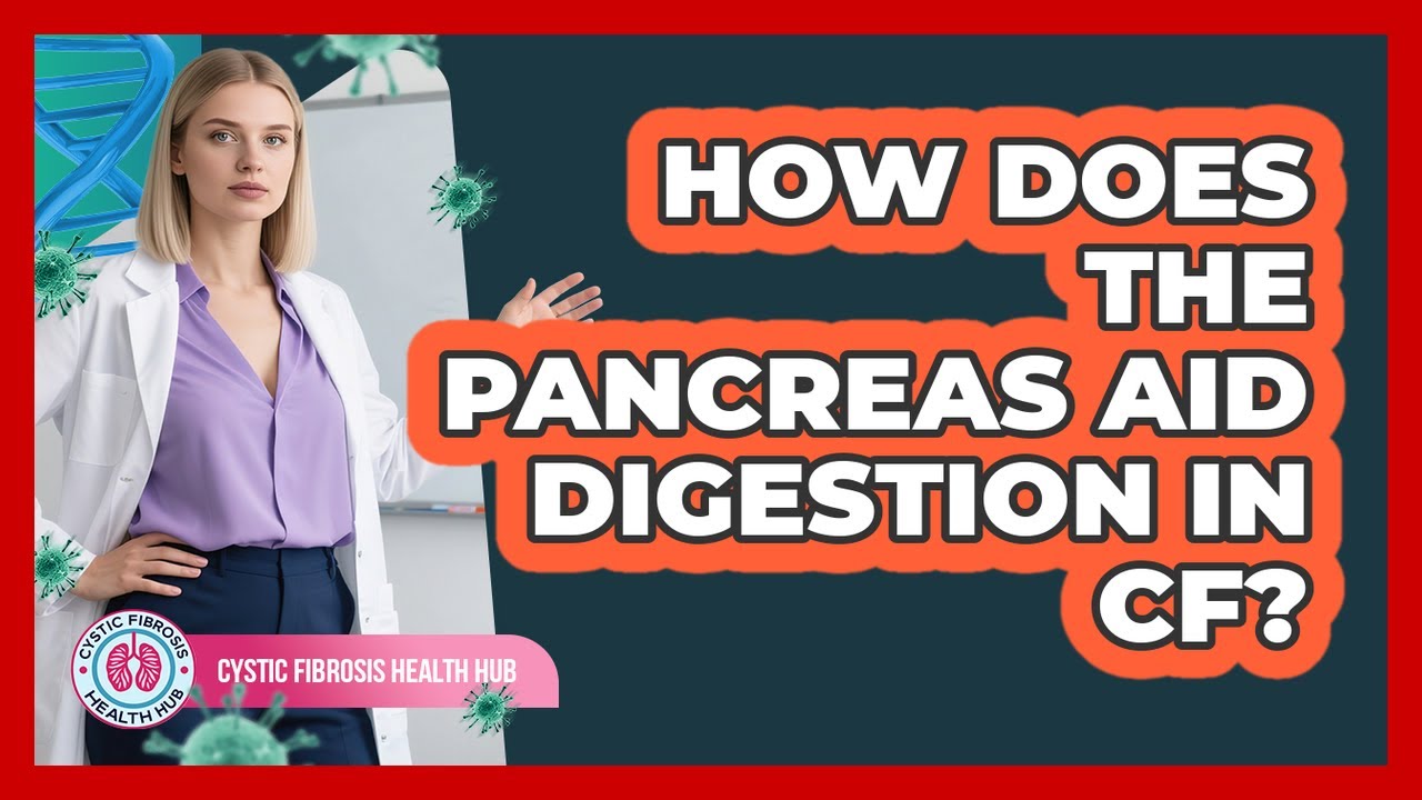 How Does The Pancreas Aid Digestion In CF? - Cystic Fibrosis Health Hub ...