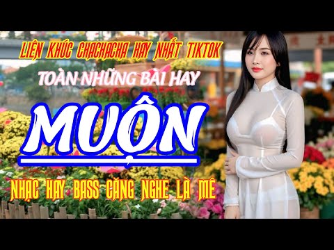 LK CHACHACHA HAY NHẤT TIKTOK / MUỘN