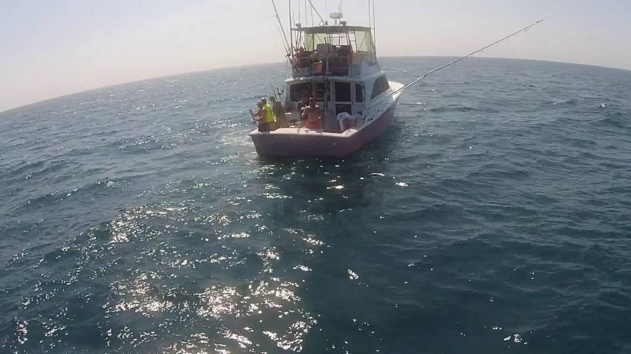 Tuna Fishing on the Muff Diver with Reel Draggin Tackle - YouTube