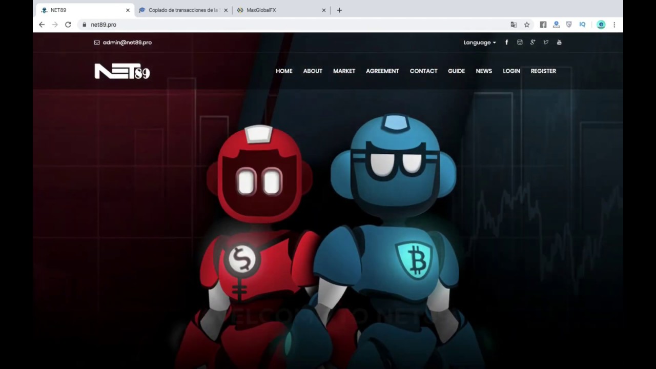 NET89 EA | Una gran estafa en la bolsa de Forex - YouTube