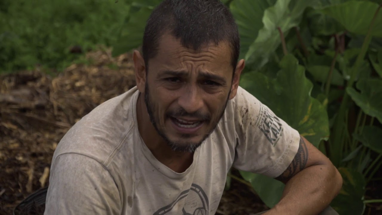 HOW WE PLANT HULI HERE ON THE FARM SCHOOL. - YouTube