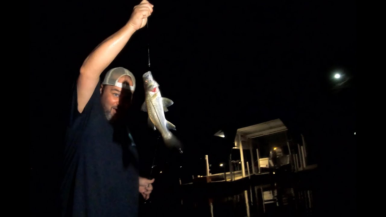 BACKWATER / NIGHT LIGHT FISHING - YouTube