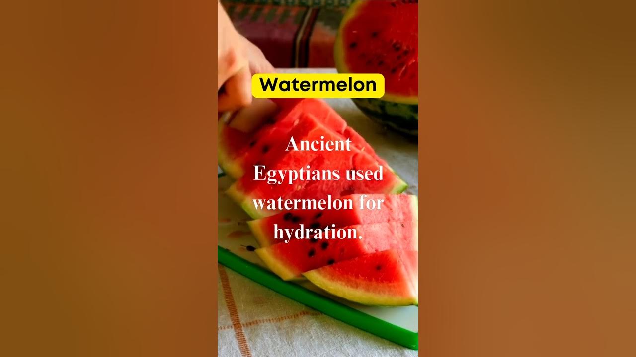Ancient Egyptians used watermelon for hydration. #shorts #facts # ...