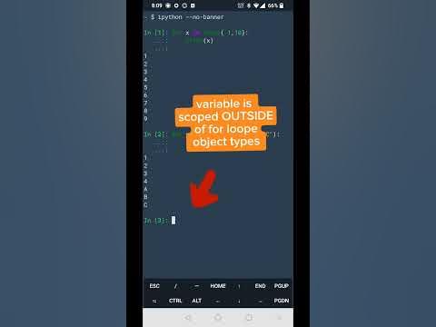 Python For Loop. - YouTube